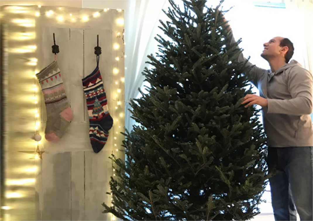 BOSTON CHRISTMAS TREE DELIVERY, SETUP, LIGHTING, RECYCLING – Christmas ...