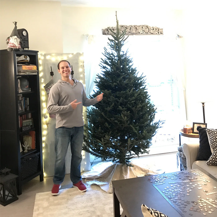 Christmas Tree Setup Boston l Christmas Tree Install – Christmas Tree ...